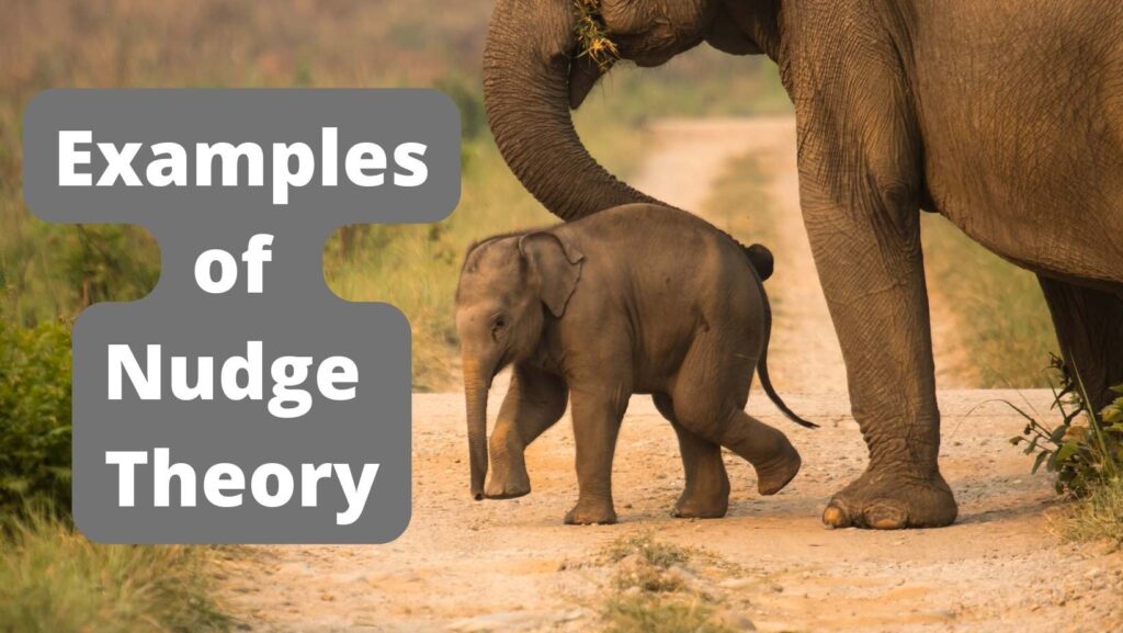 Nudge theory Archives - CuriousOwl