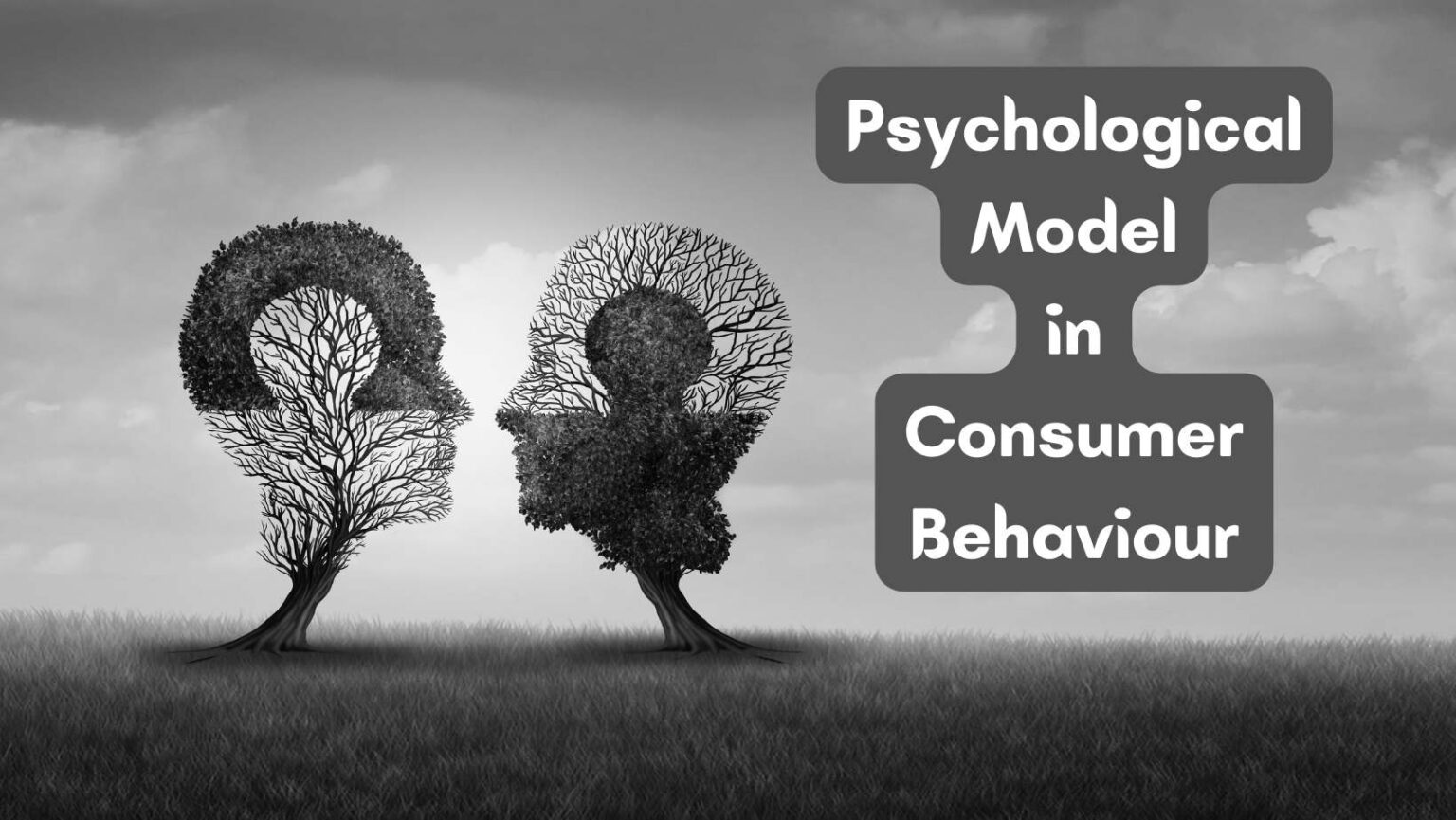 An Introduction To Psychological Model in Consumer Behaviour - CuriousOwl